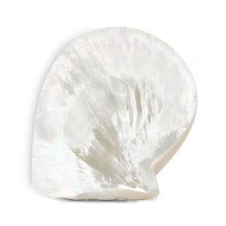 South Sea Pearls Direct from Our Pearl Farms – Atlas Pearls Jewellery